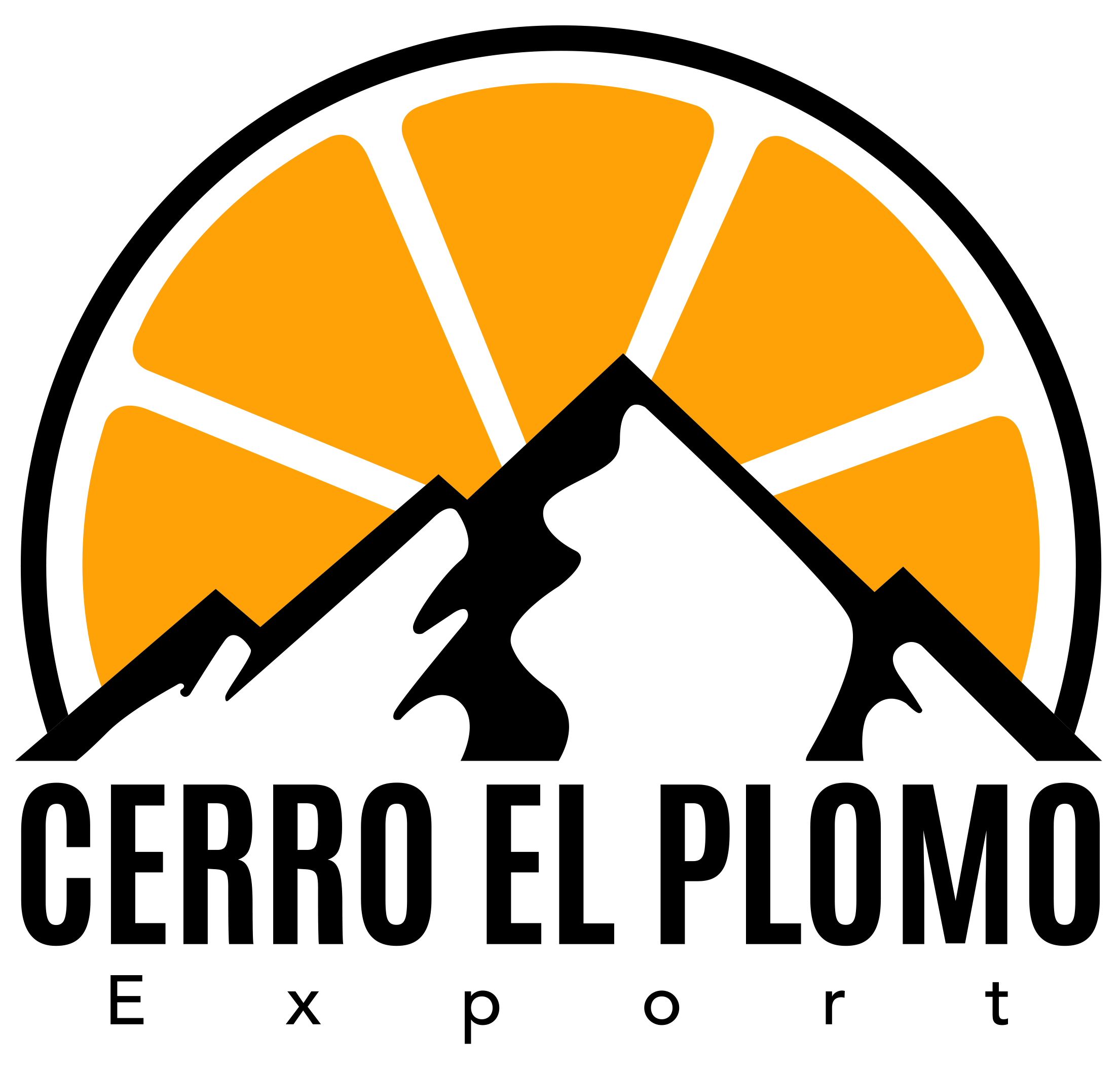 Contacto – Cerro El Plomo Export